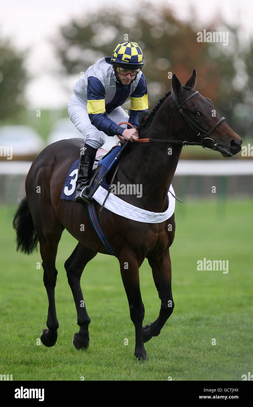 Horse Racing - Newmarket Racecourse Stock Photo - Alamy