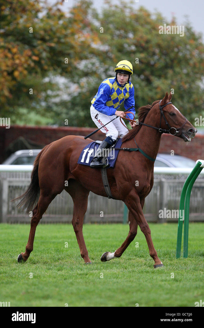 Horse Racing - Newmarket Racecourse Stock Photo - Alamy