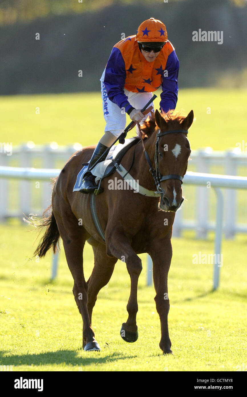 Horse Racing - Leicester Racecourse Stock Photo - Alamy