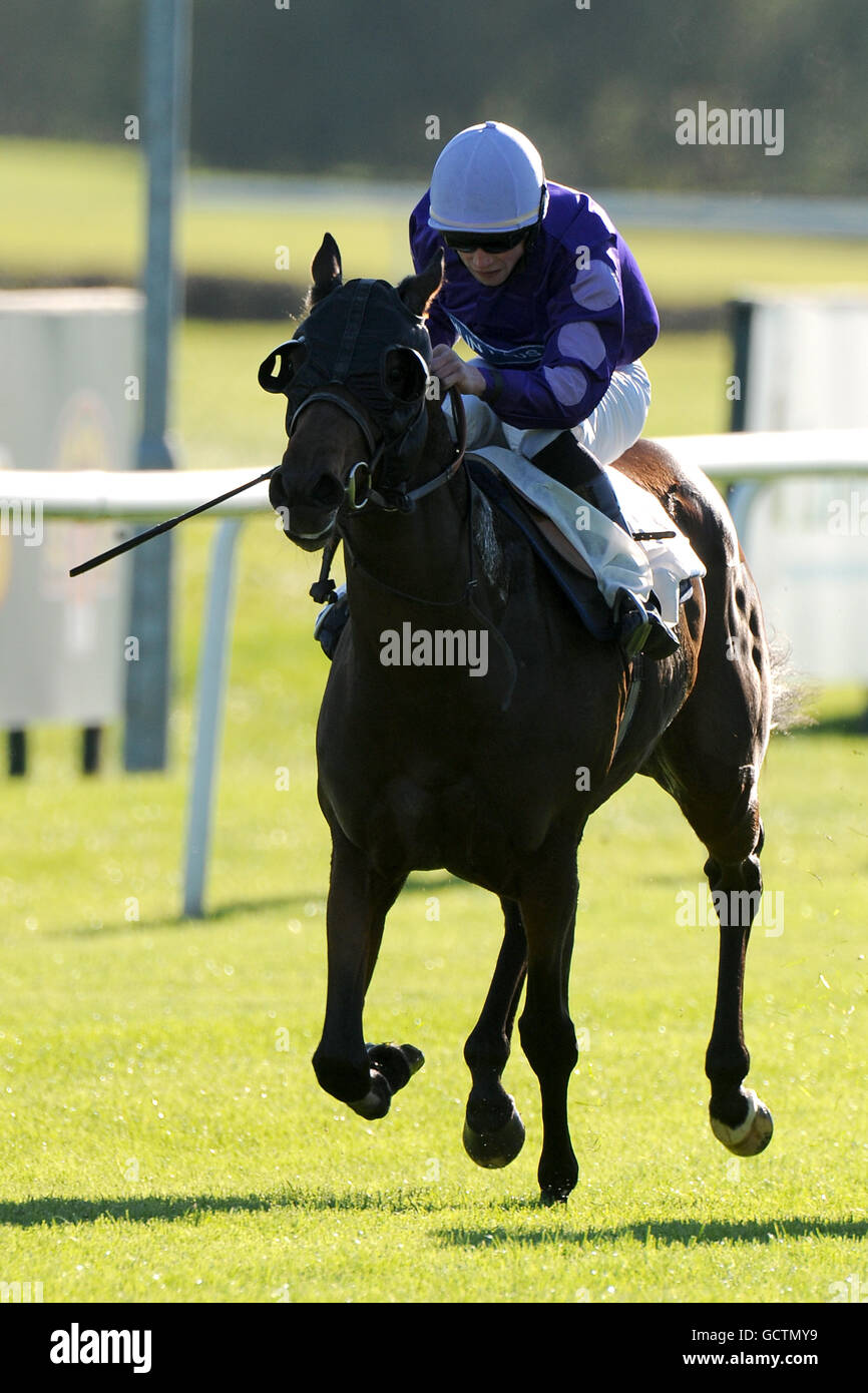 Horse Racing - Leicester Racecourse Stock Photo - Alamy