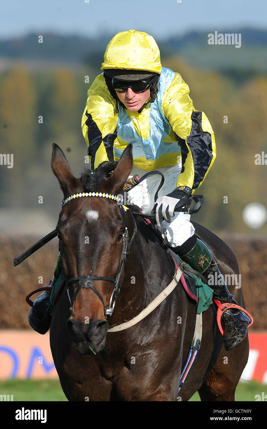 Jockey Marc Goldstein on Mr Ironman during the Courier Company Handicap ...