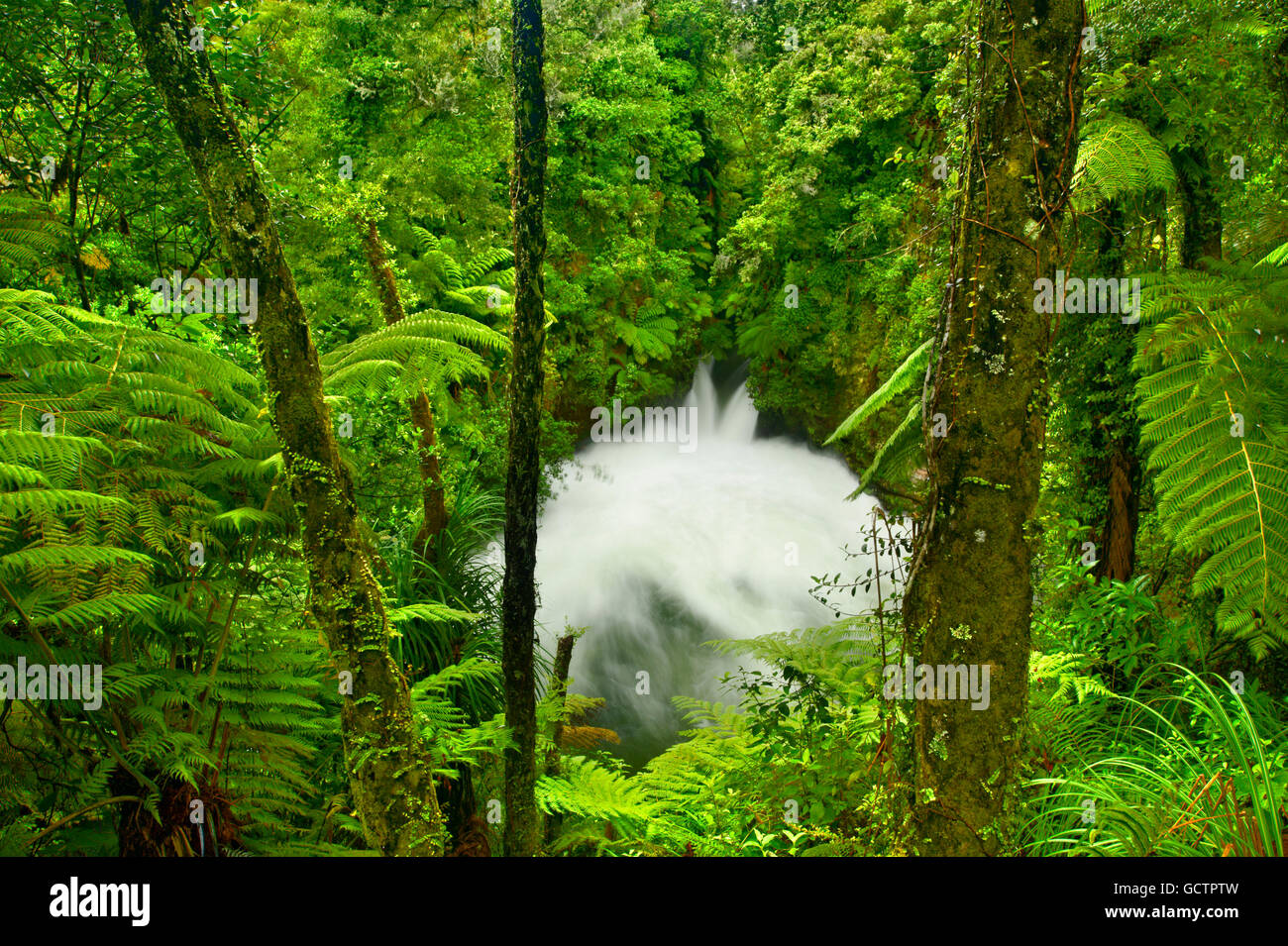 Tutea Falls going wild after a violent storm, New Zealand Stock Photo - Alamy