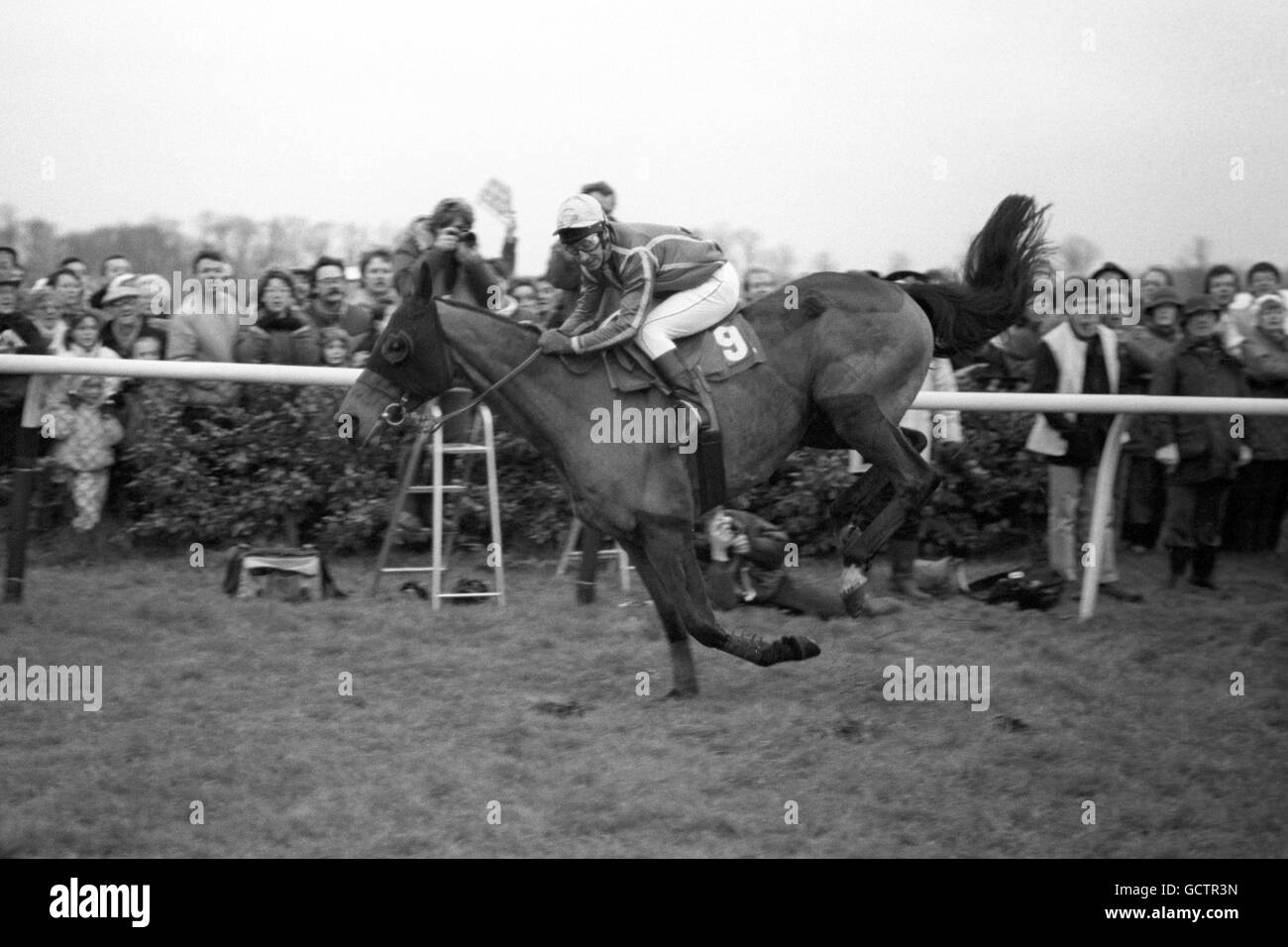 Andre by Black and White Stock Photos & Images - Alamy