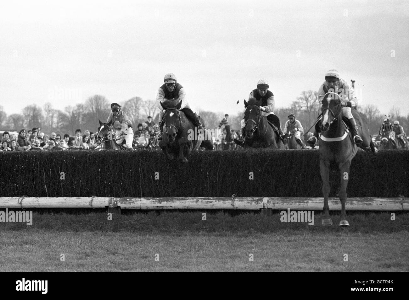 Uncle Bing, John Francome up (right), leading over the last fence from ...