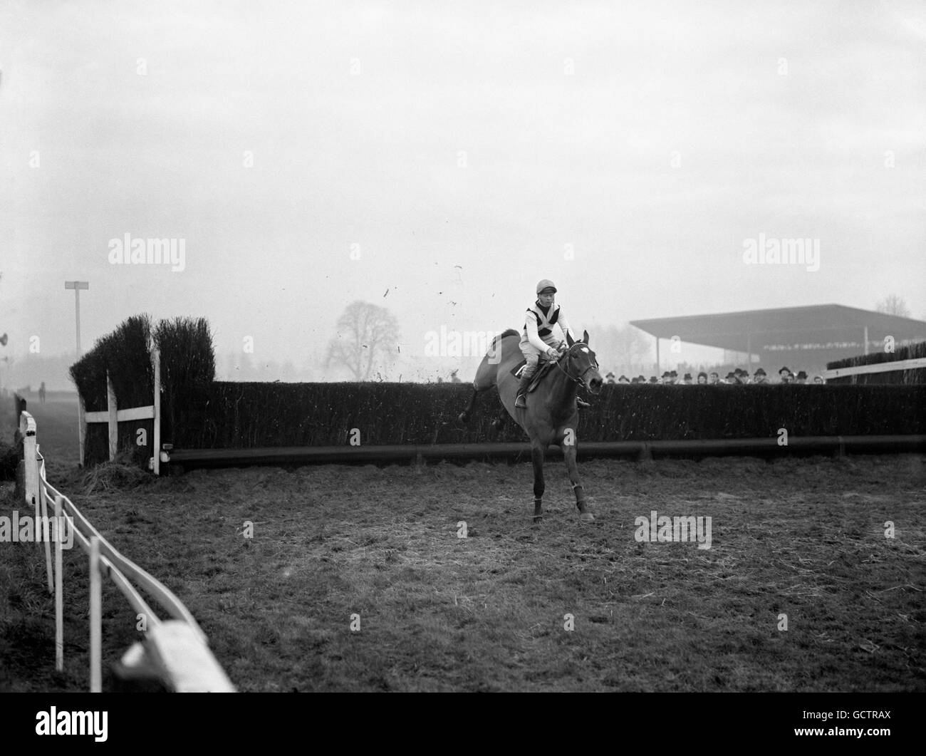Mill house horse hi-res stock photography and images - Alamy