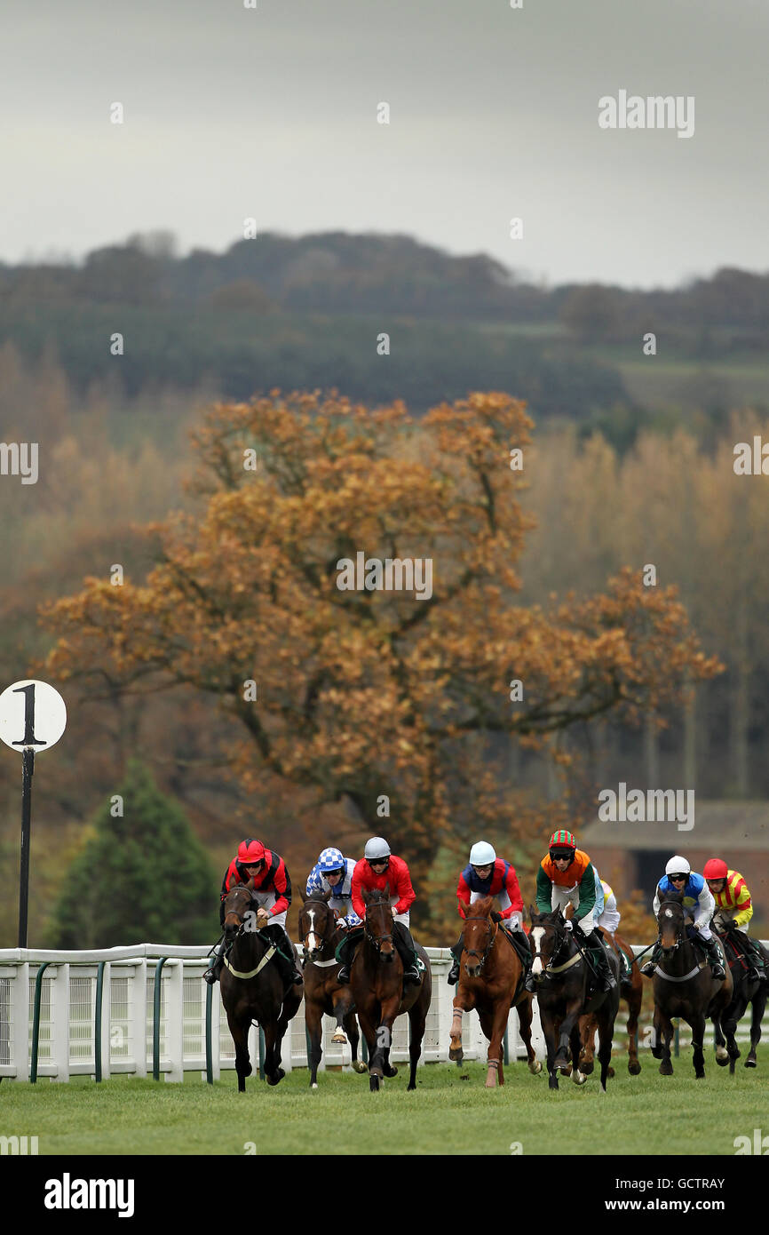 Horse Racing - Towcester Racecourse Stock Photo - Alamy