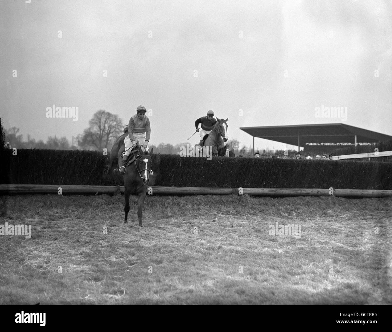 Leads over last fence win flyingbolt hi-res stock photography and ...