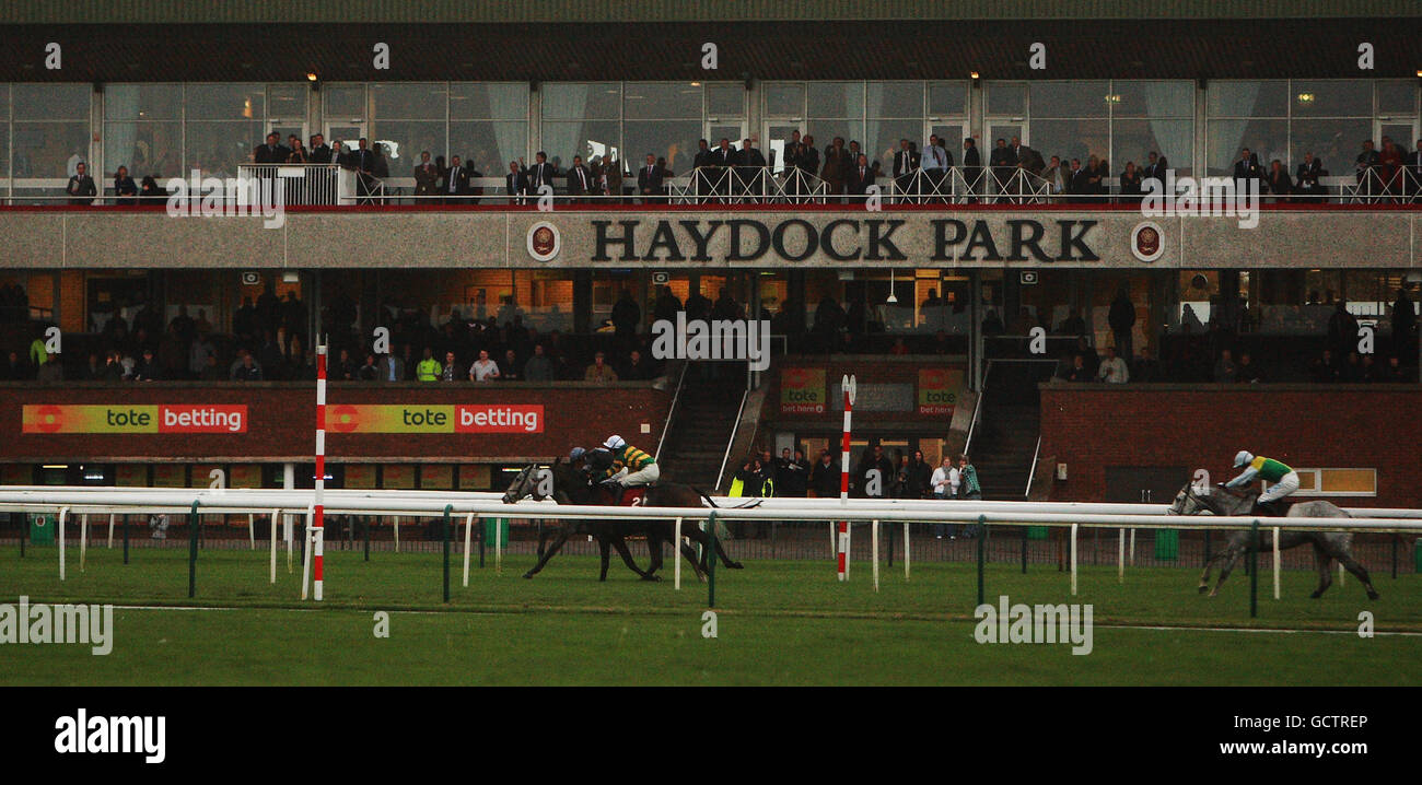 Horse Racing - Racing Welfare Raceday - Haydock Park Stock Photo - Alamy