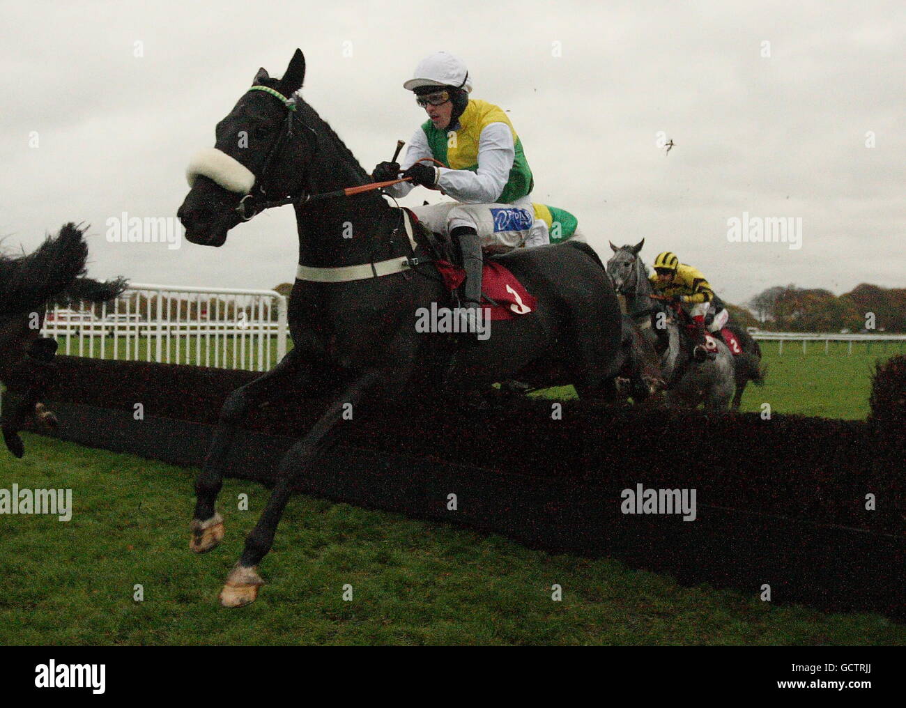 Welfare raceday hi-res stock photography and images - Alamy