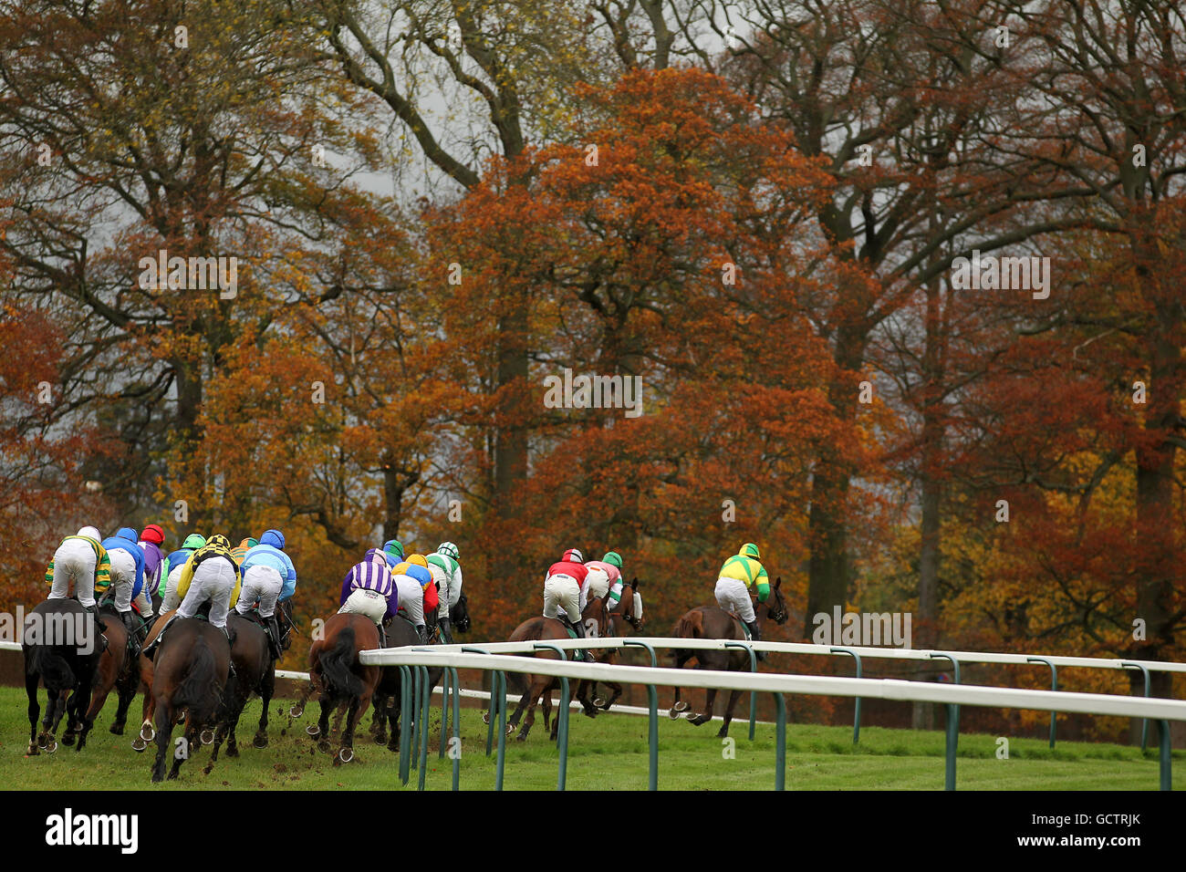 Horse Racing - Towcester Racecourse Stock Photo - Alamy