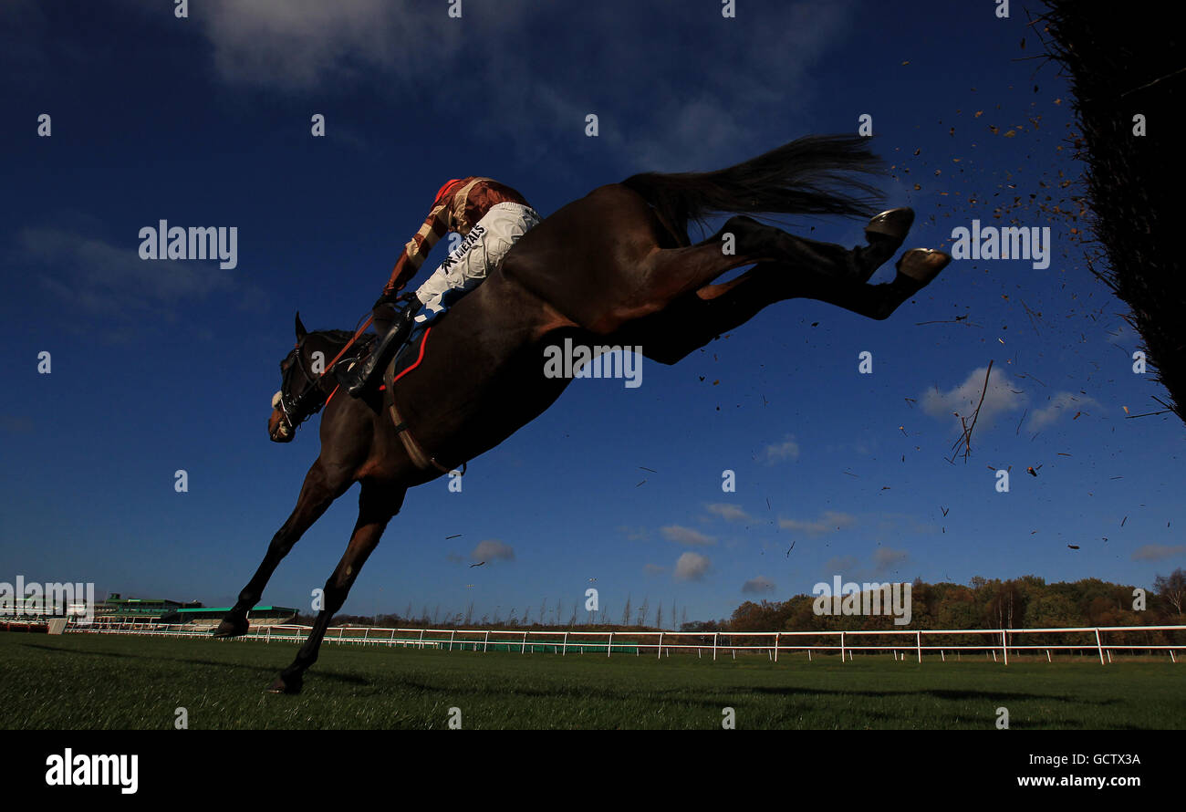 Horse Racing - Newcastle Racecourse Stock Photo - Alamy