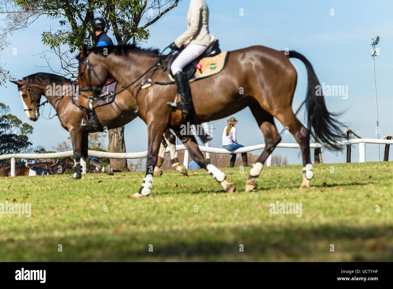 Equestrian horse show jumping event warm up field lifestyle Stock Photo ...
