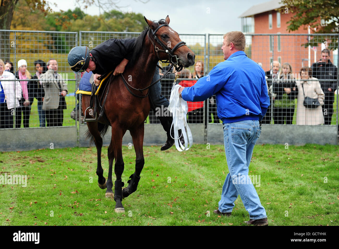 Horse Whisperer Gary Witheford during Breeders' Day at Lingfield Park ...