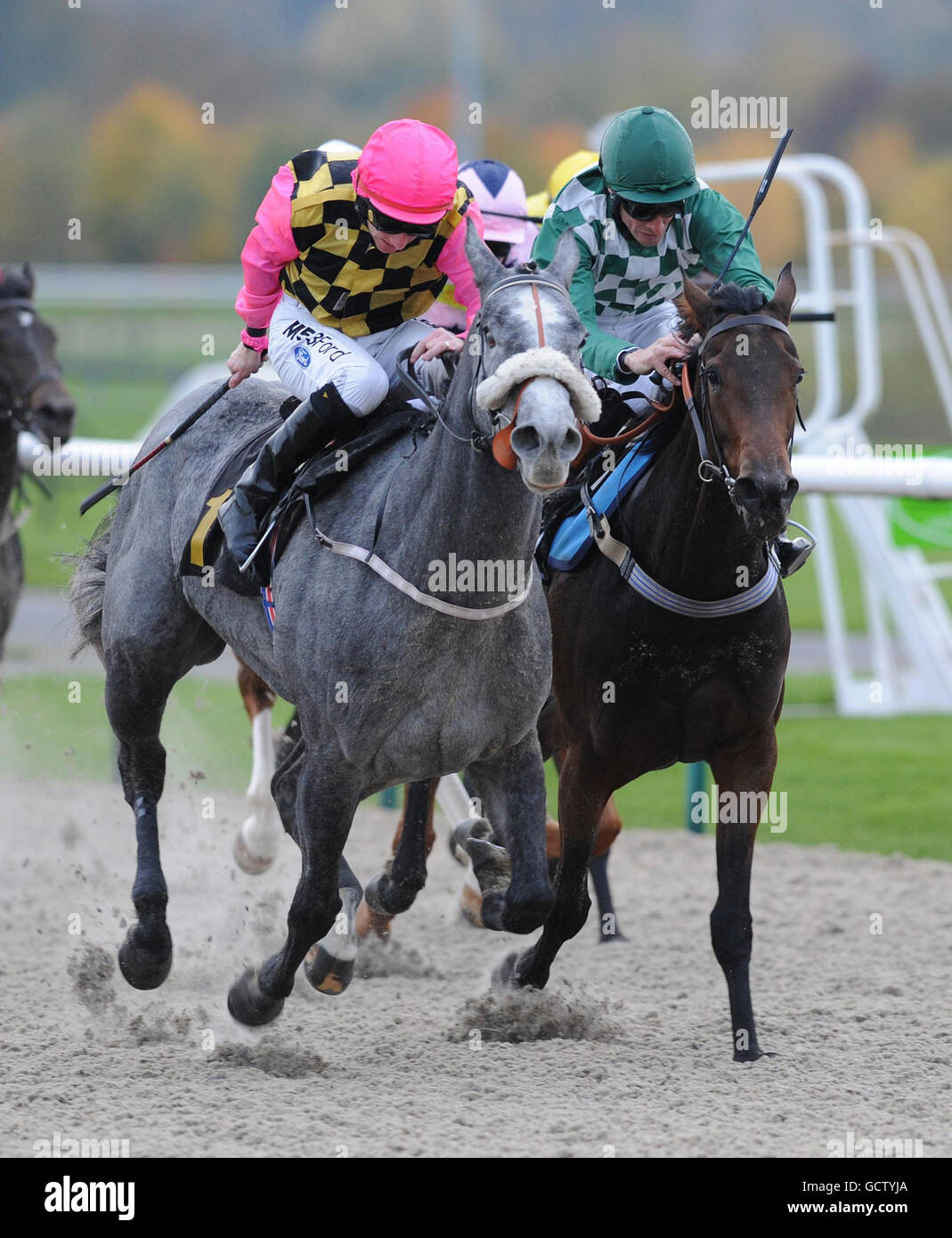 Racing wolverhampton full length riding mangkk hi-res stock photography ...