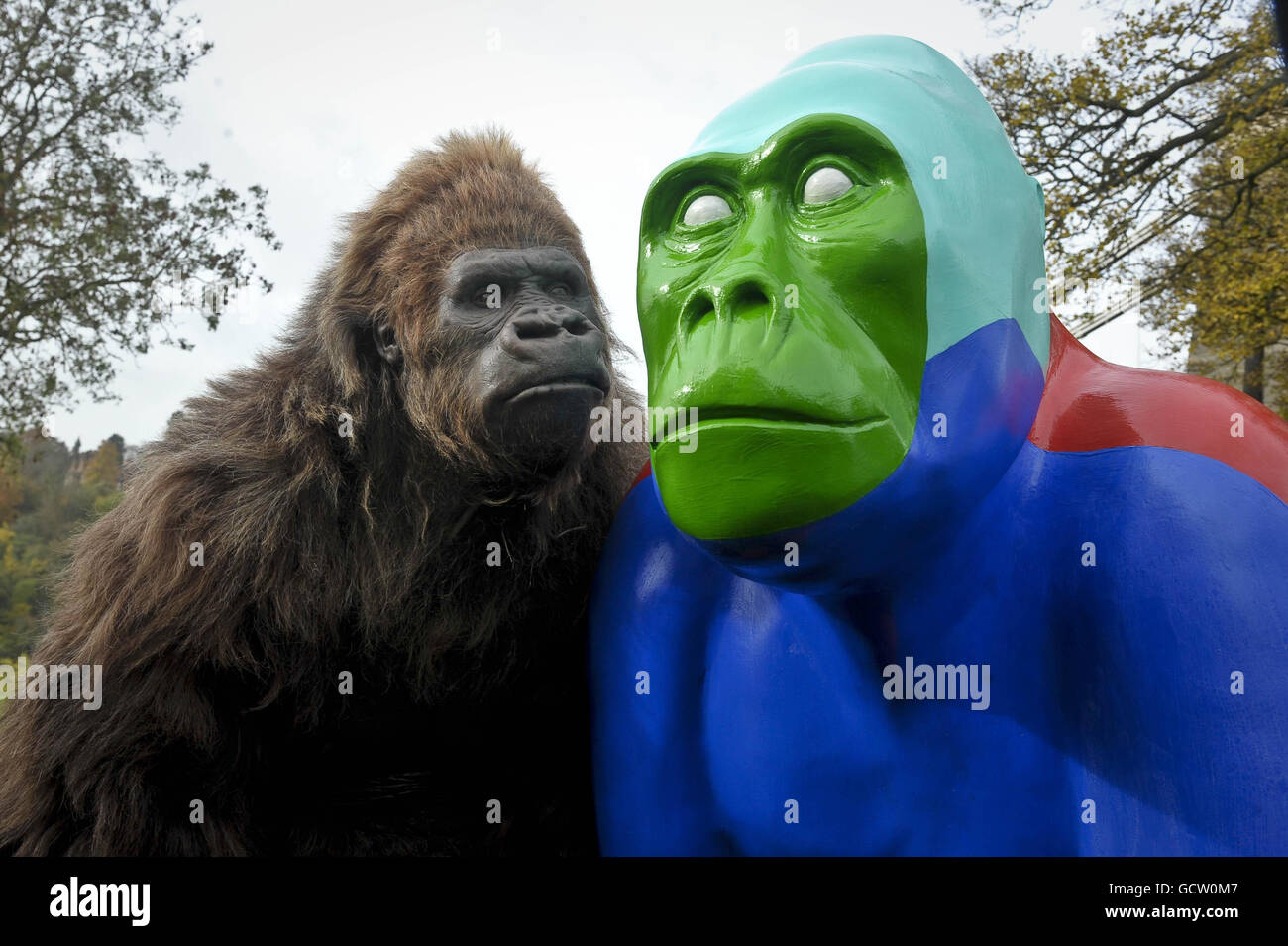 Wow! Gorillas installation Stock Photo - Alamy