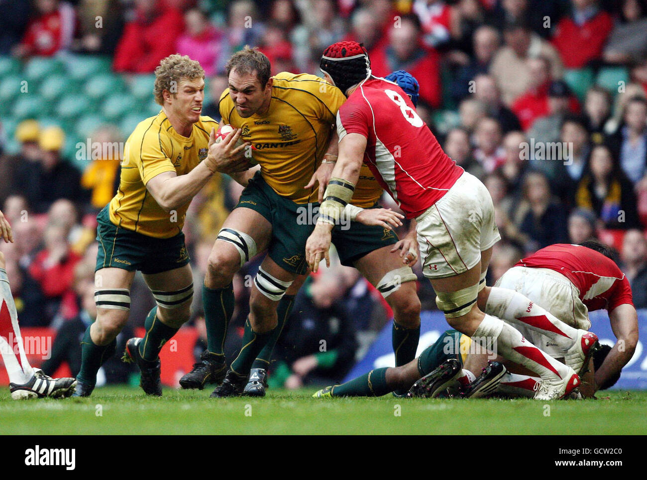 Australia's Rocky Elsom (centre) and David Pocock break away with the ...