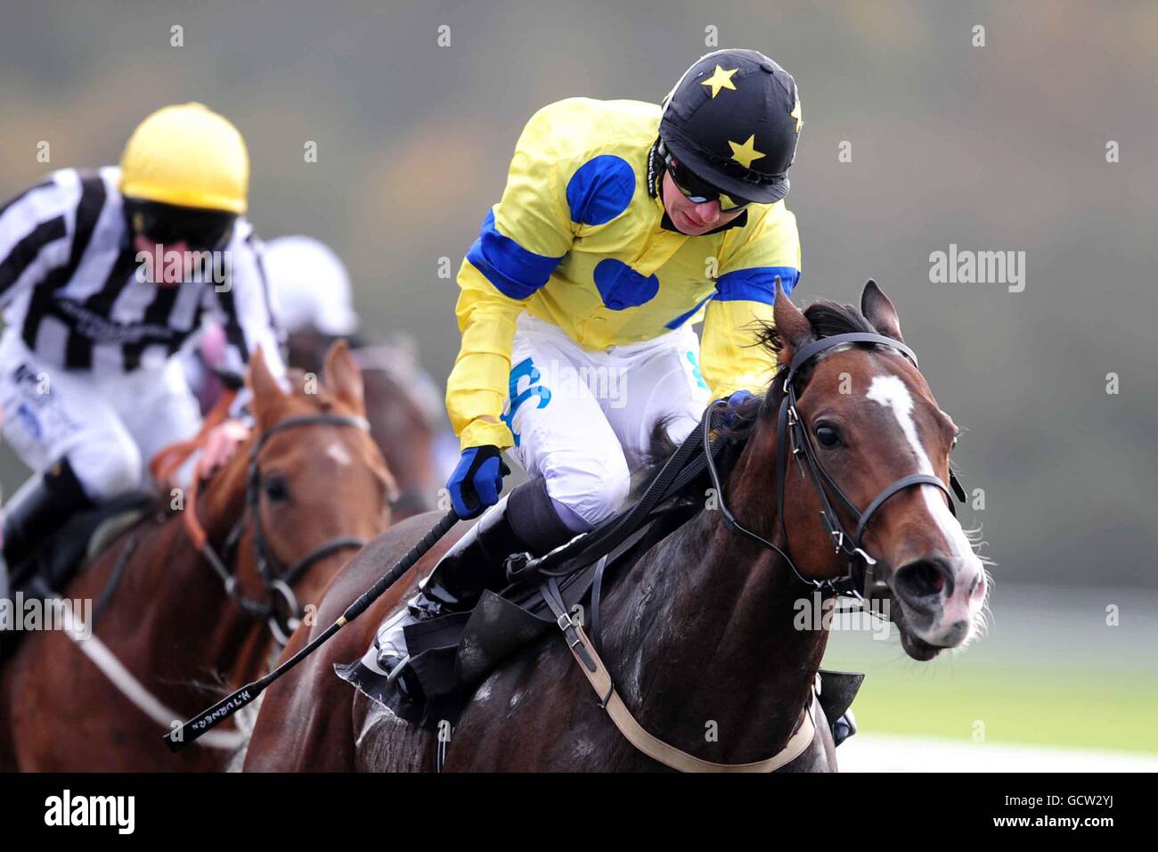 Horse Racing - Lingfield Park Racecourse Stock Photo - Alamy