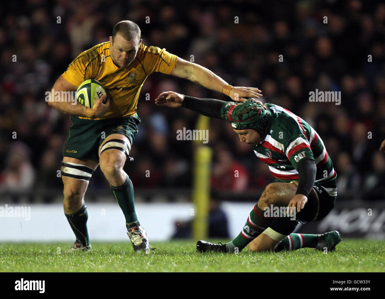 Rugbyu australia full length battling mangsk hi-res stock photography ...