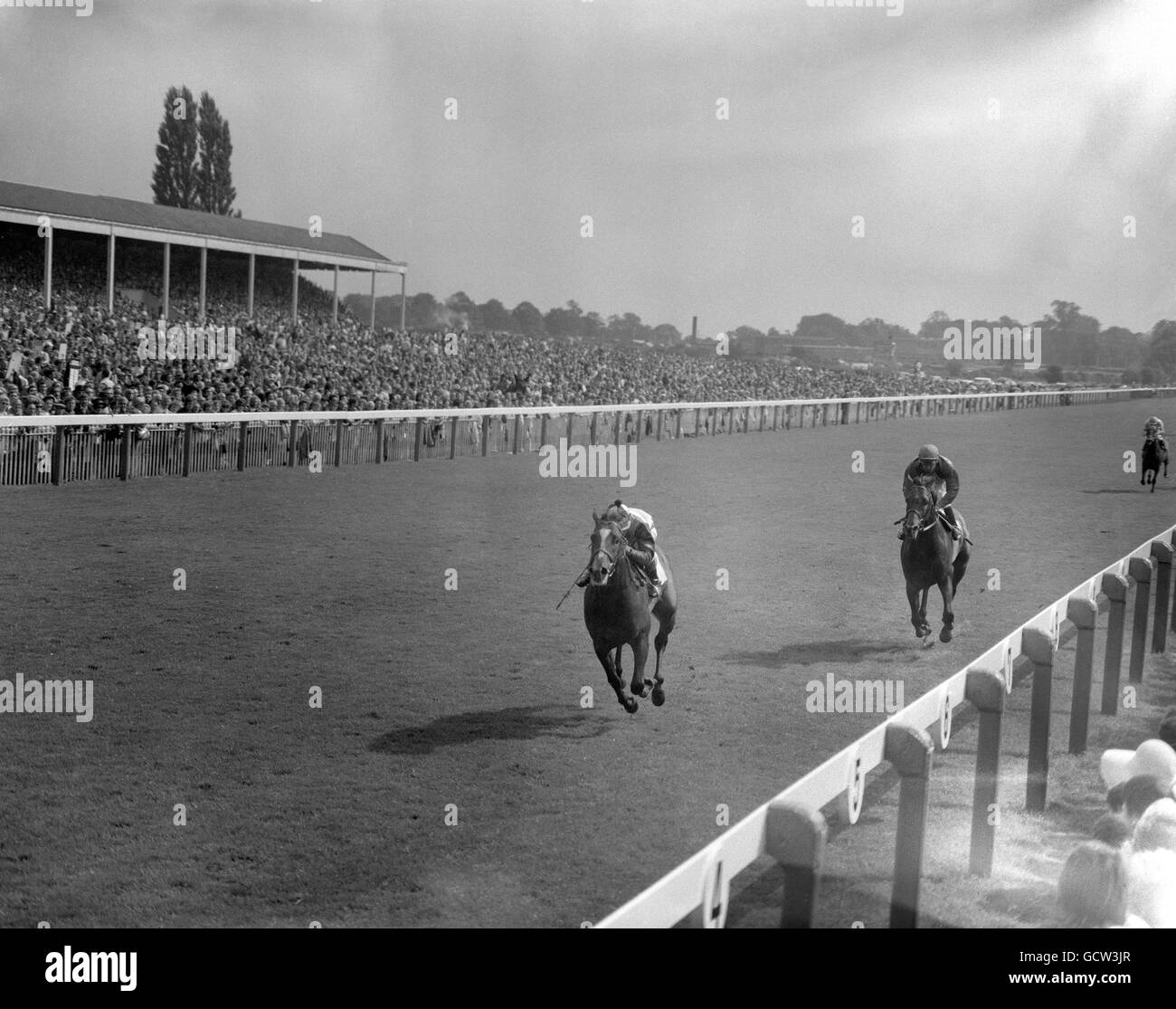 Roberto brigadier gerard hi-res stock photography and images - Alamy