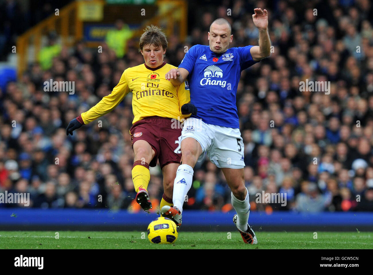 Everton's Johnny Heitinga and Arsenal's Andrey Arshavin (left) in ...