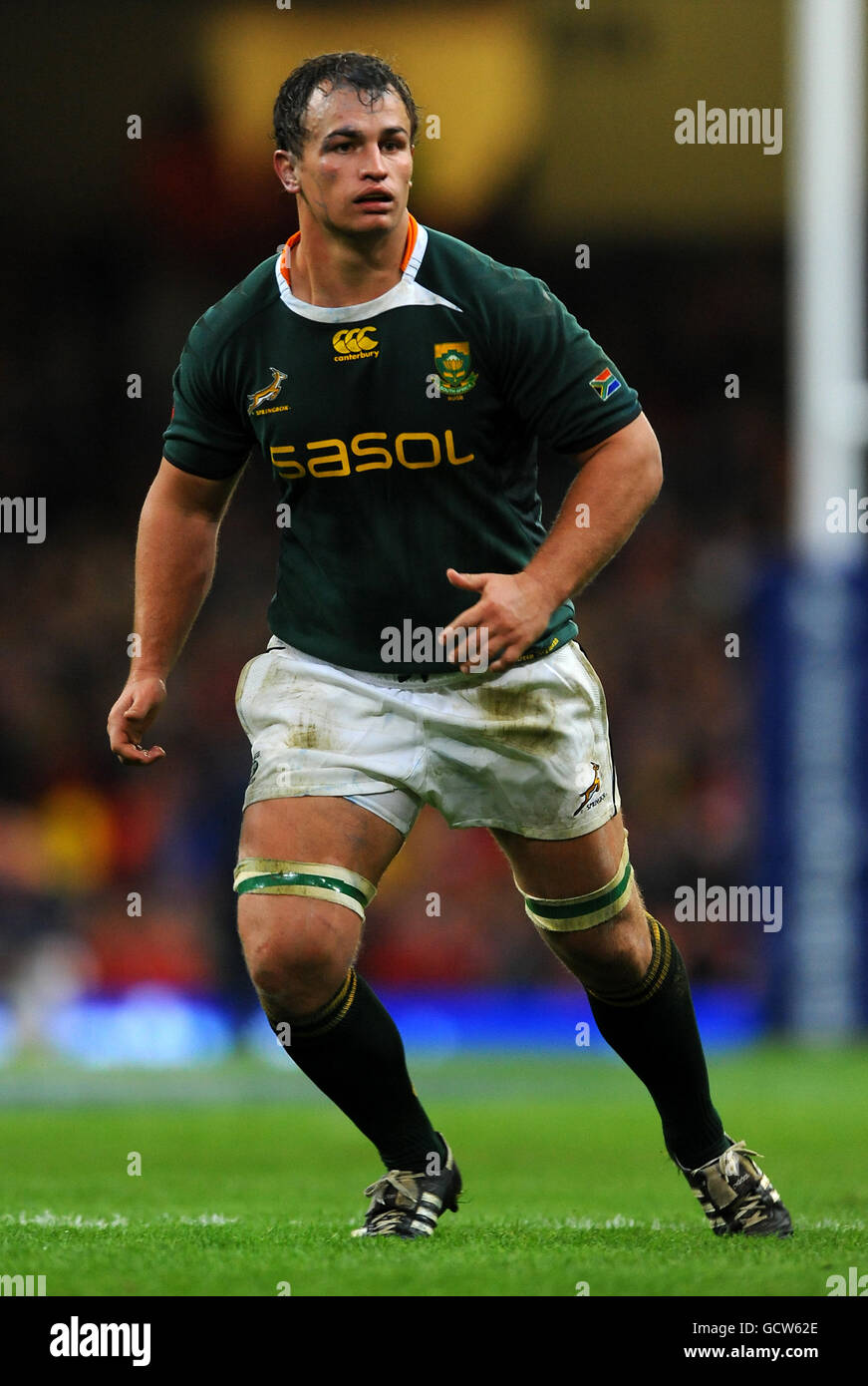 Rugby Union - Investec Perpetual Series 2010 - Wales v South Africa ...