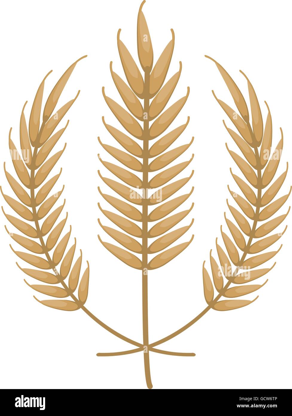 Wheat spike icon design Stock Vector Image & Art - Alamy