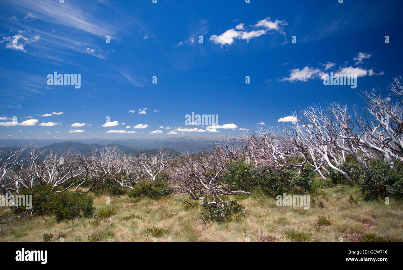 Mt Pinnibar, Vic, Australia Stock Photo - Alamy