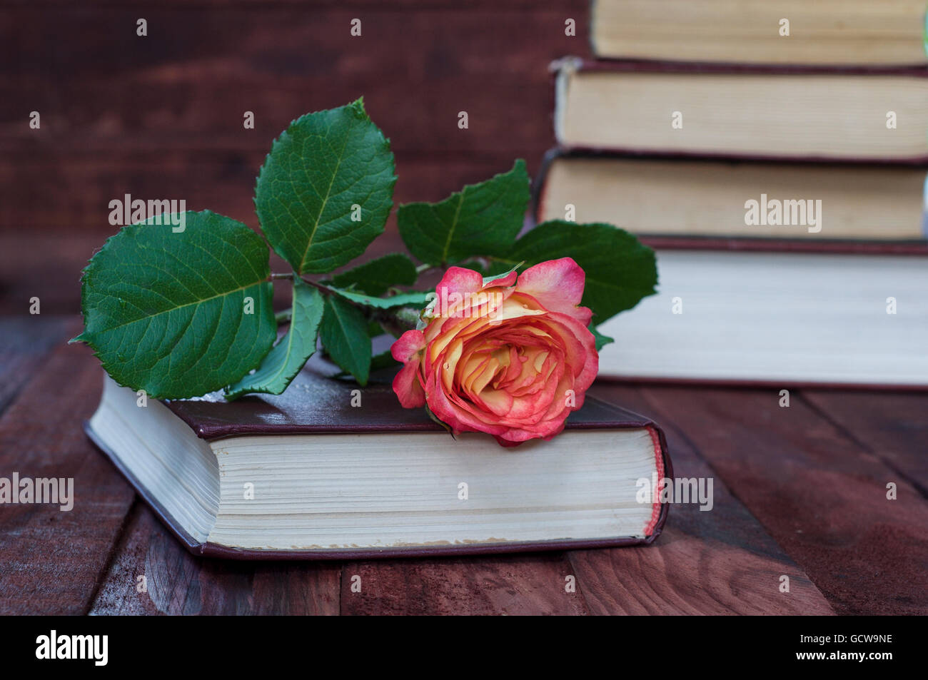 Rose book cover hi-res stock photography and images - Alamy