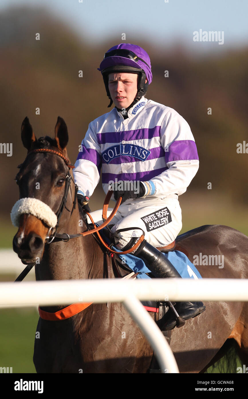 James halliday hi-res stock photography and images - Alamy