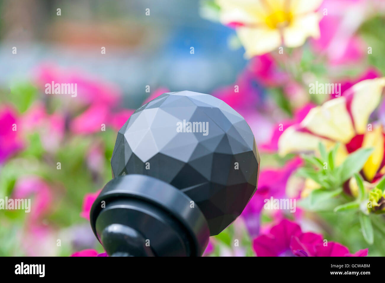 360 camera in action, capturing flowers Stock Photo - Alamy