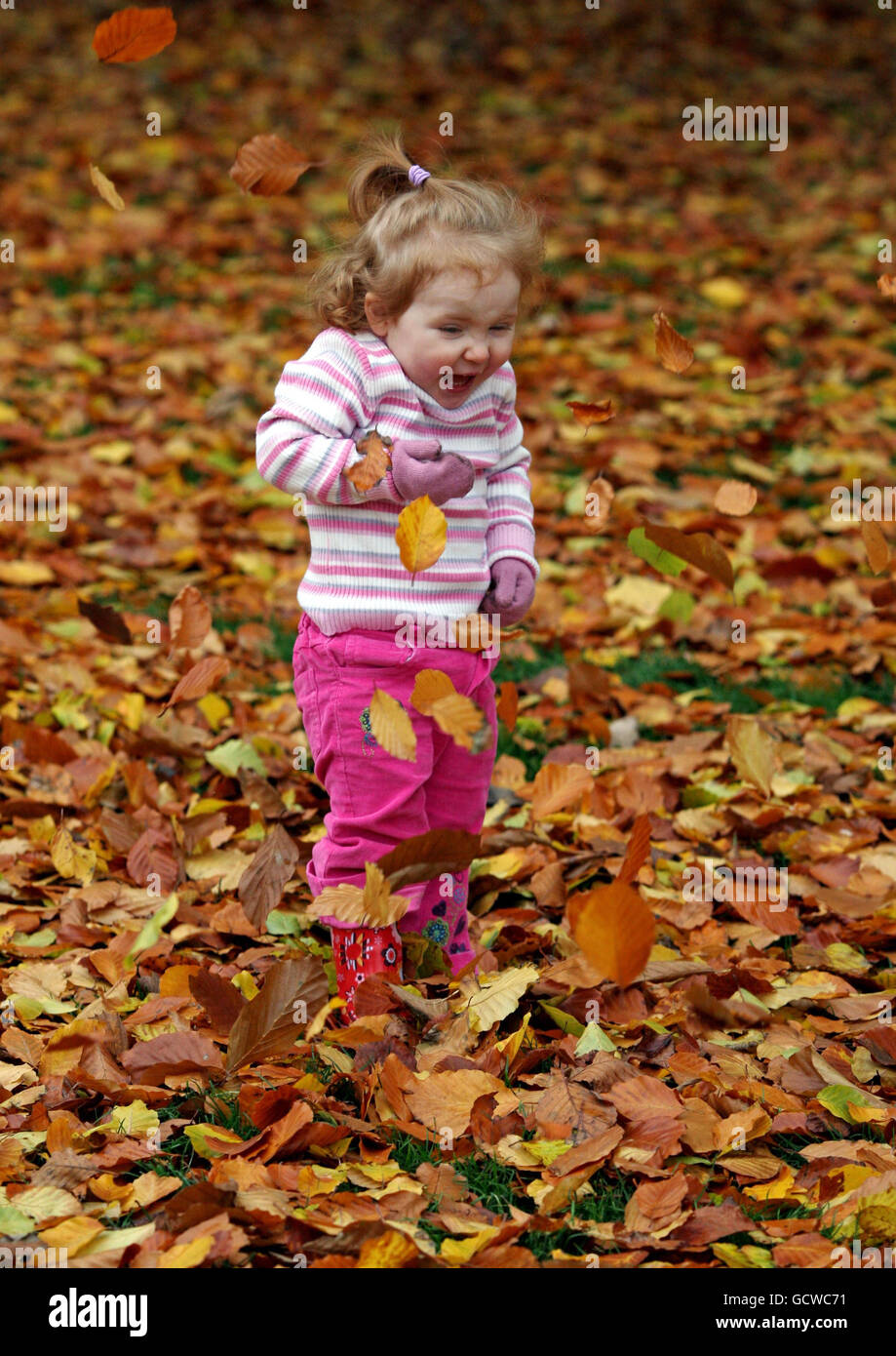 Weather November 3rd Stock Photo - Alamy