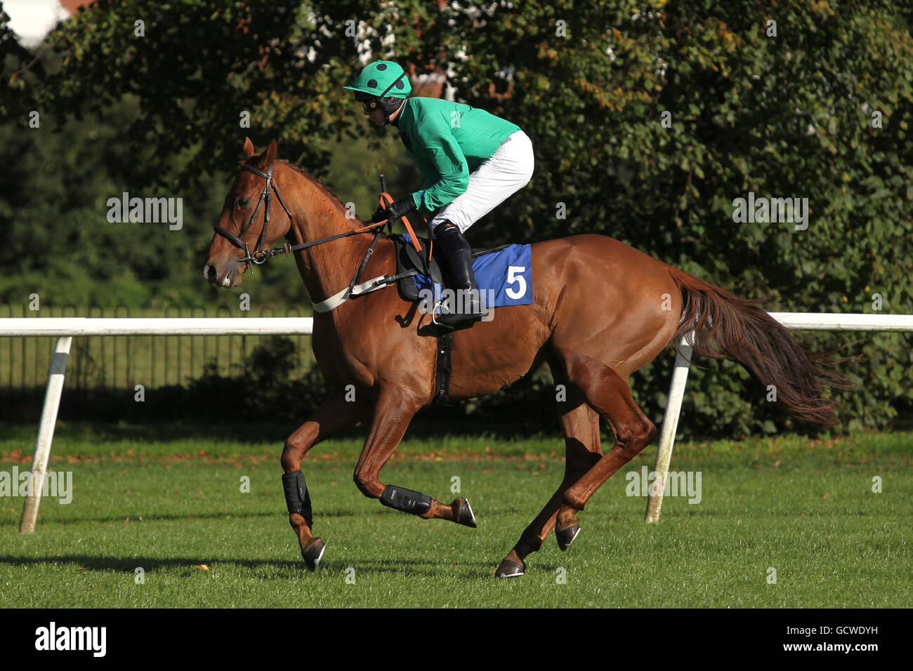 Horse Racing - Worcester Racecourse Stock Photo - Alamy