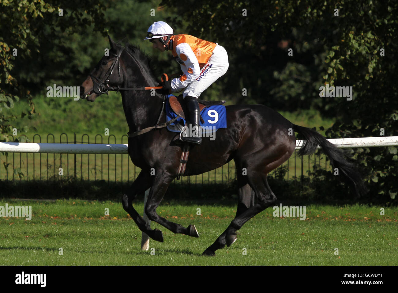 Horse Racing - Worcester Racecourse Stock Photo - Alamy
