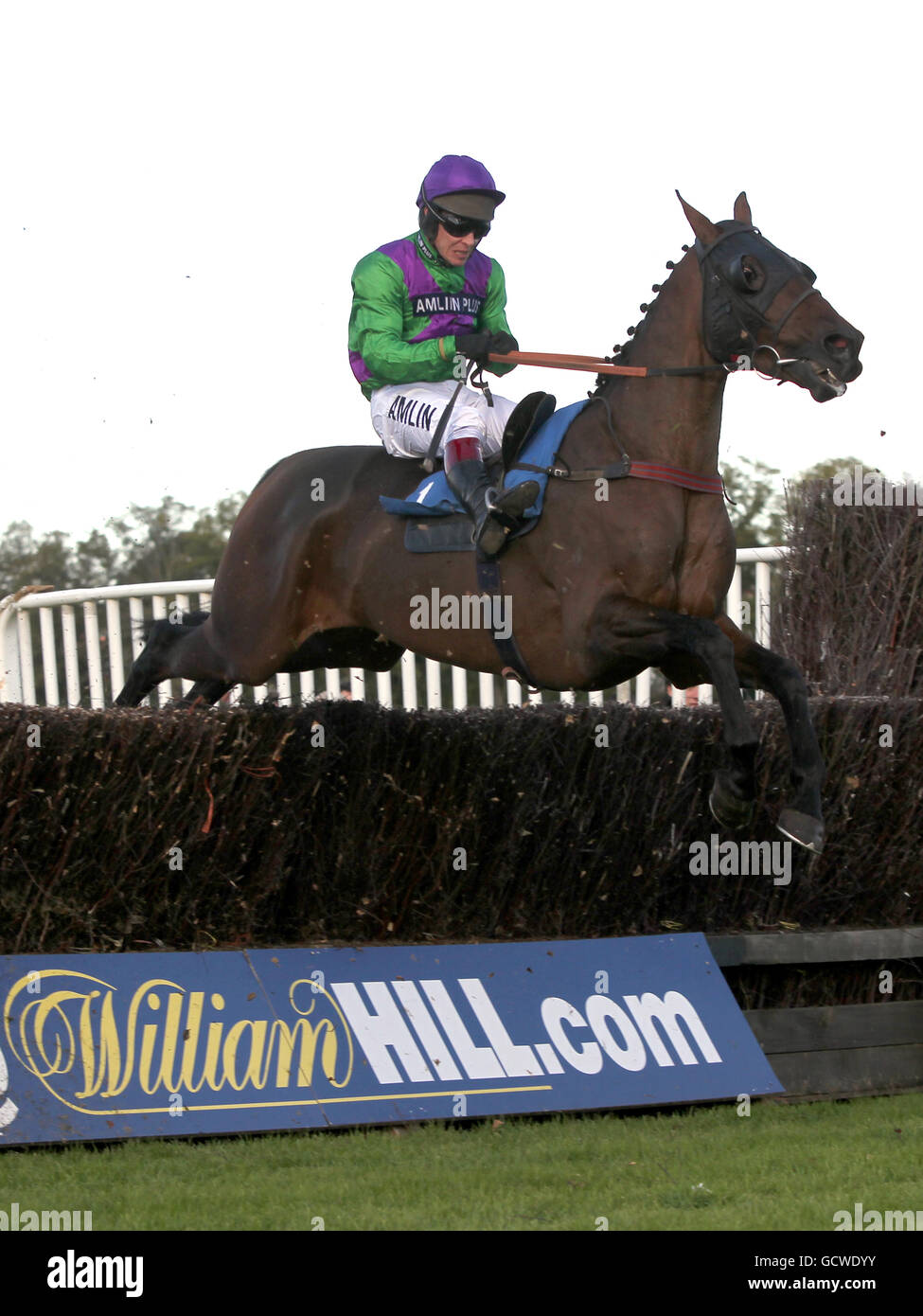 Fred rimell hi-res stock photography and images - Alamy