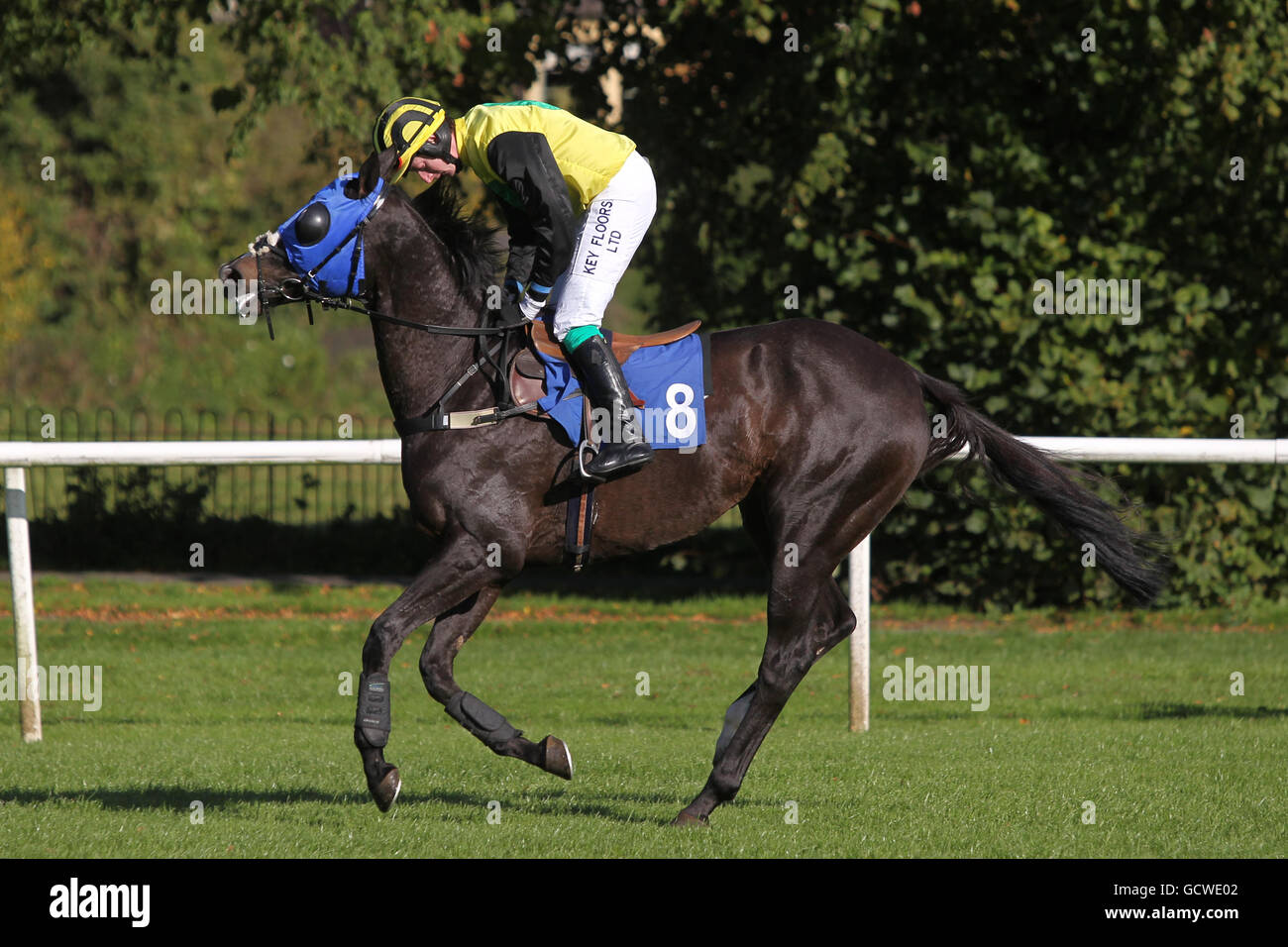 Horse Racing - Worcester Racecourse Stock Photo - Alamy