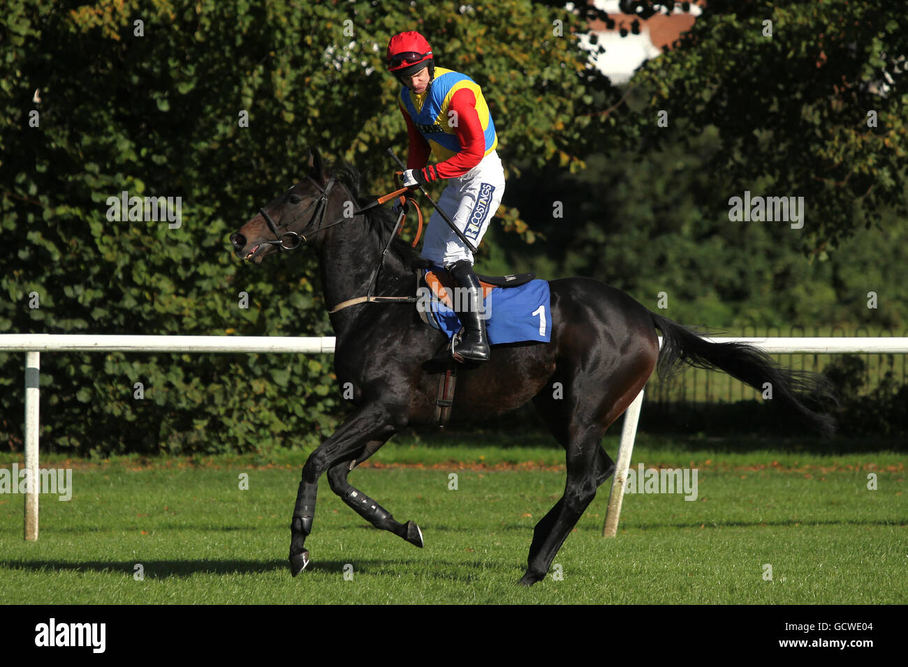 Horse Racing - Worcester Racecourse Stock Photo - Alamy