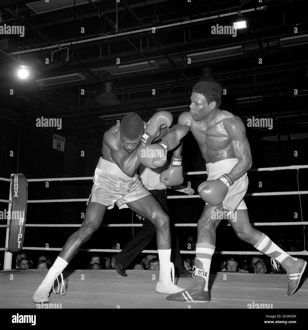Boxing - WBC Light Heavyweight Title - Dennis Andries v JB Williamson ...