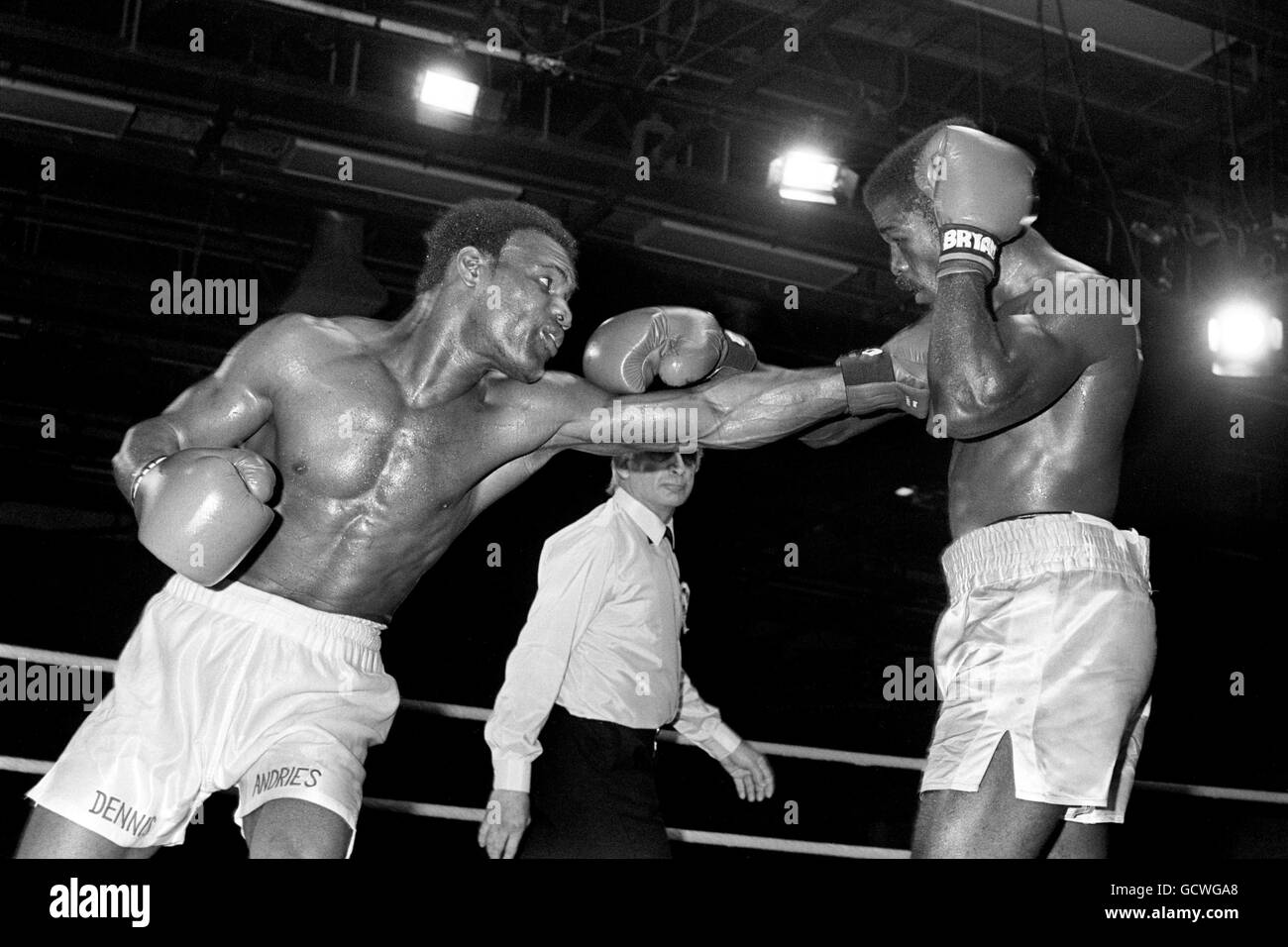Boxing - WBC Light Heavyweight Title - Dennis Andries v JB Williamson ...