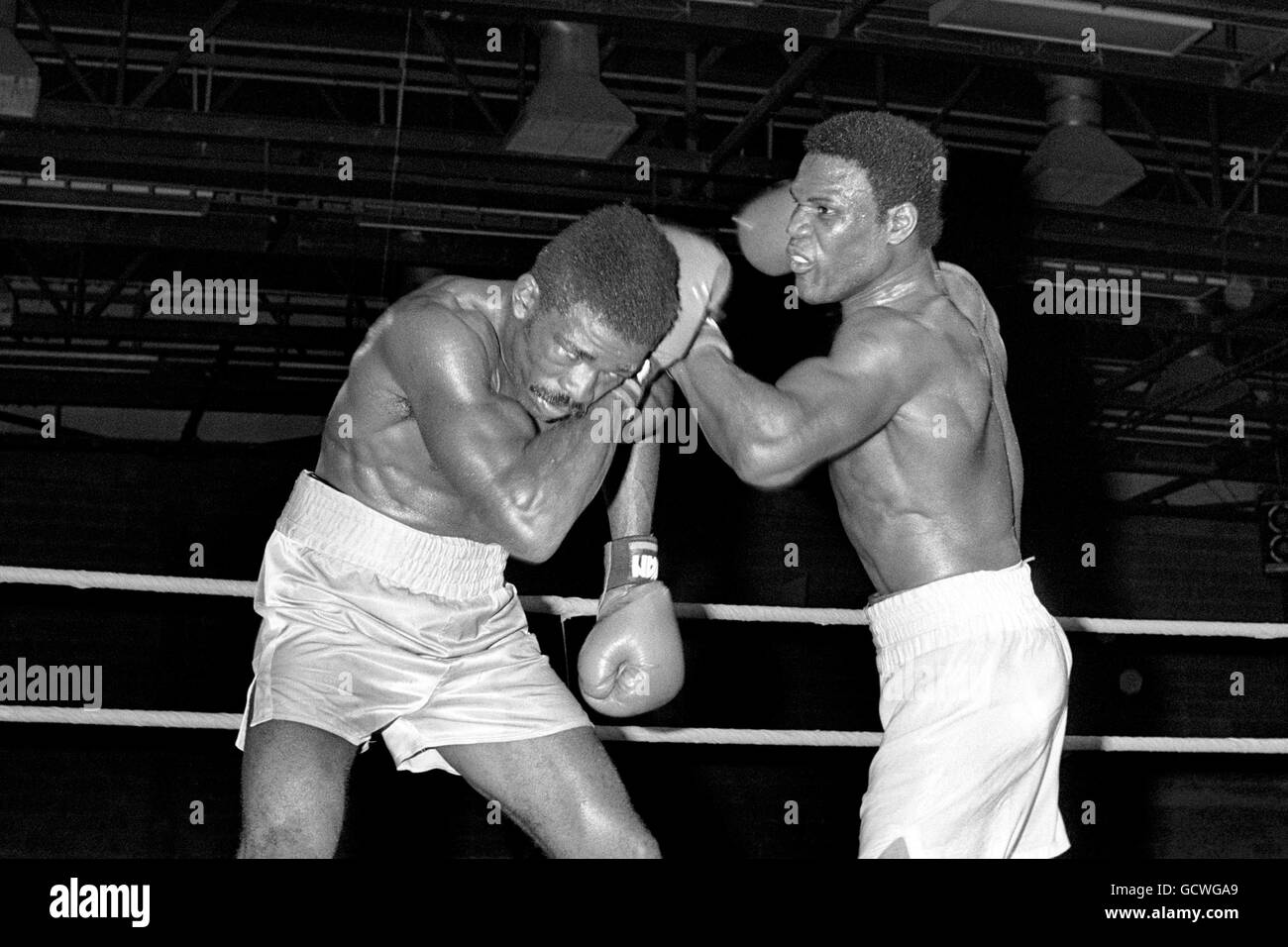 Boxing - WBC Light Heavyweight Title - Dennis Andries v JB Williamson ...