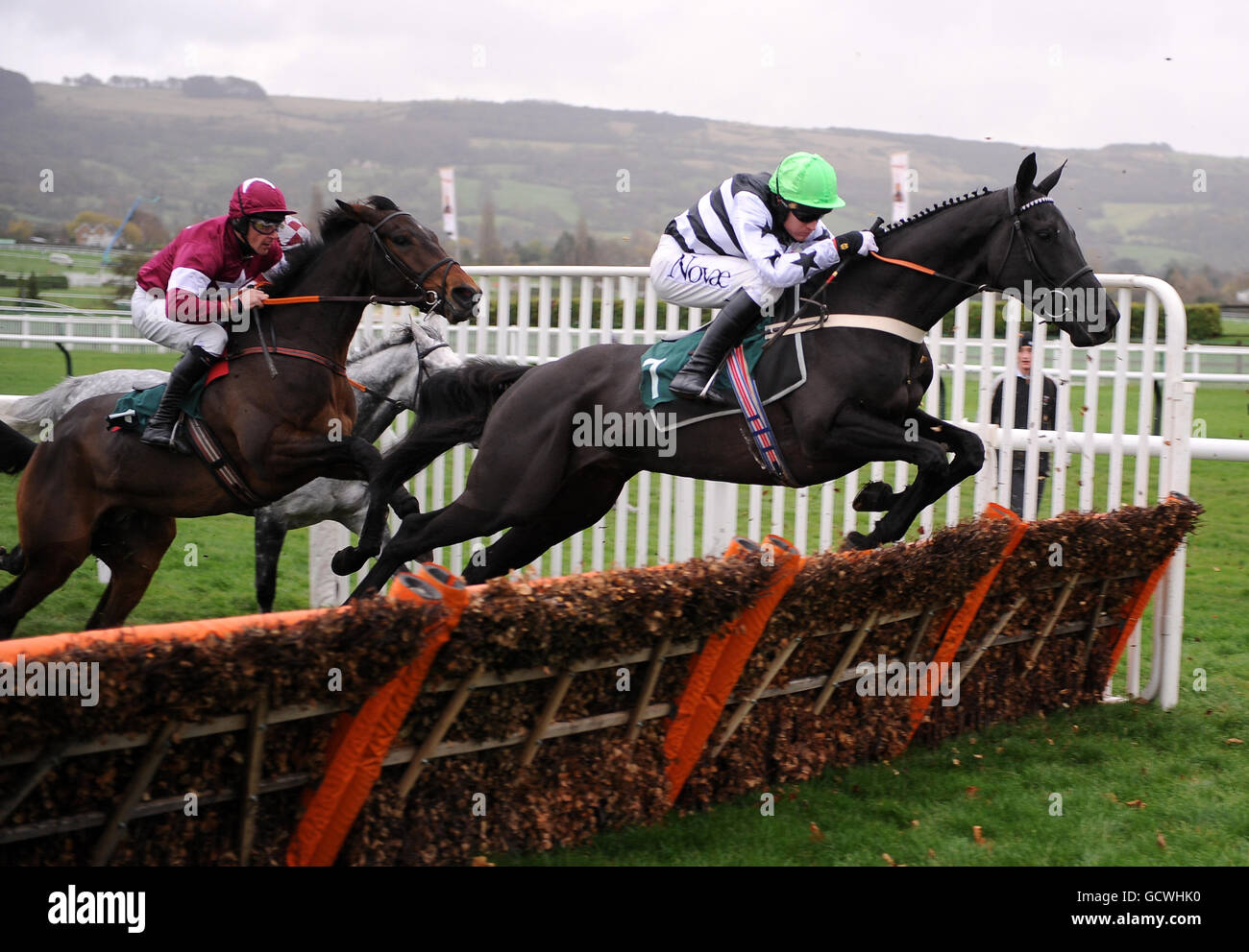 Horse Racing - Countryside Day - Cheltenham Racecourse Stock Photo - Alamy