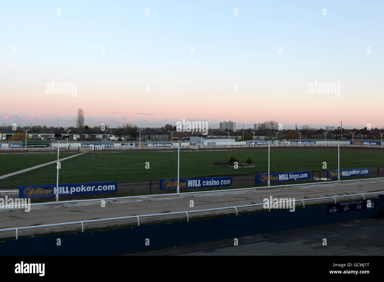 Greyhound racing all england festival finals night newcastle greyhound ...