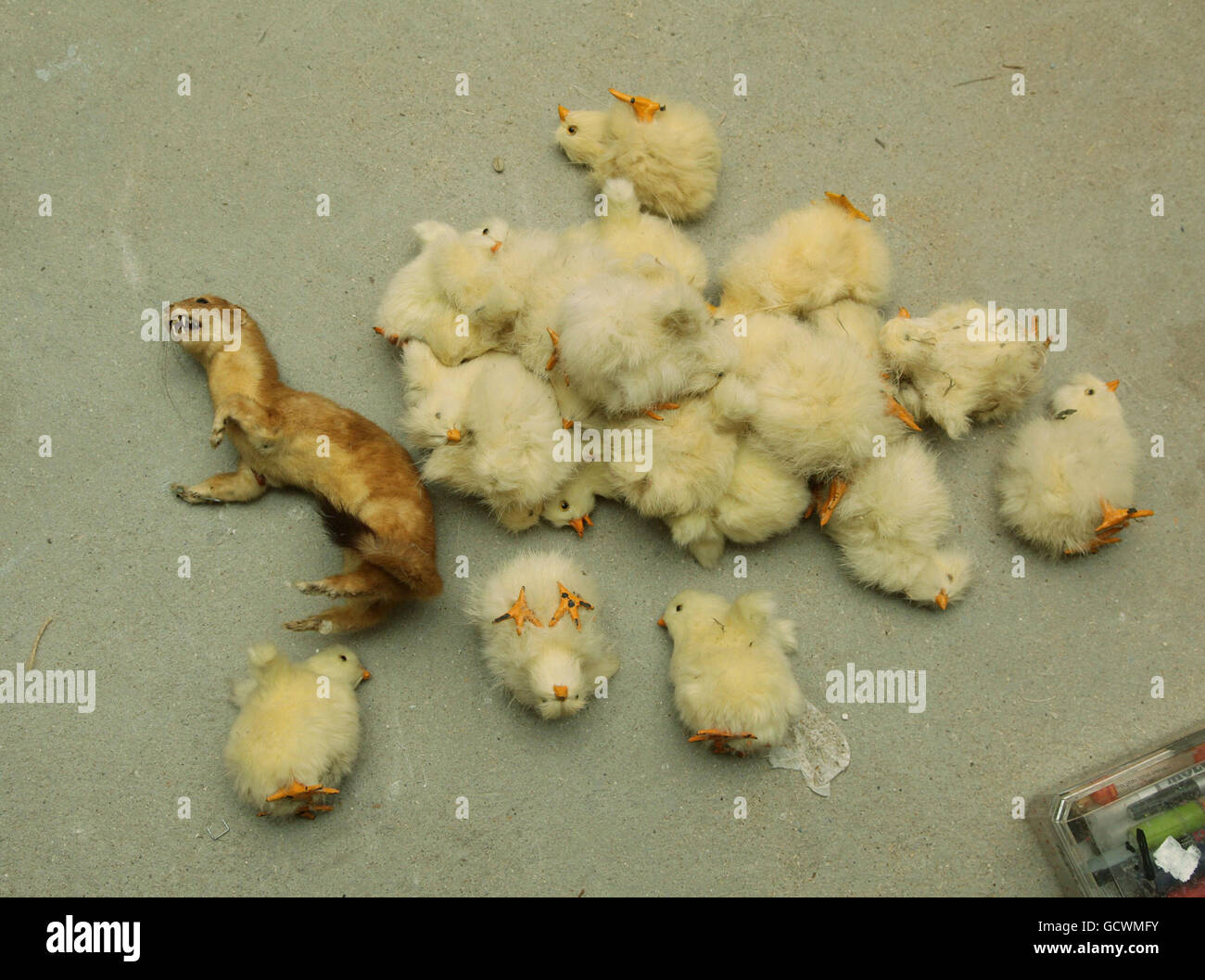 Dran artist hi-res stock photography and images - Alamy