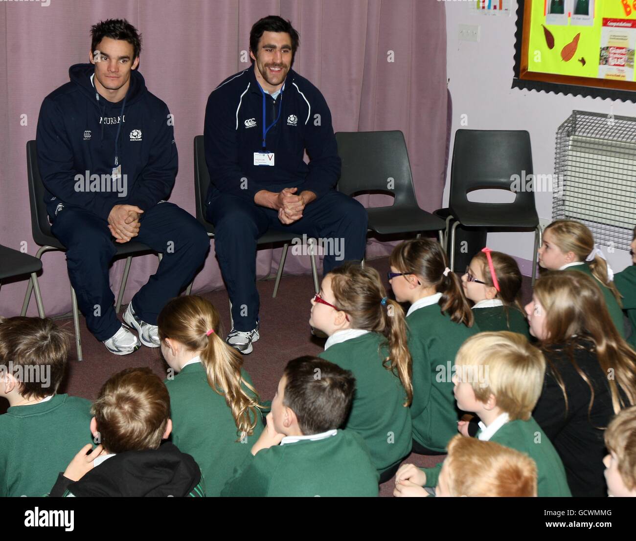 Primary forrest hi-res stock photography and images - Alamy