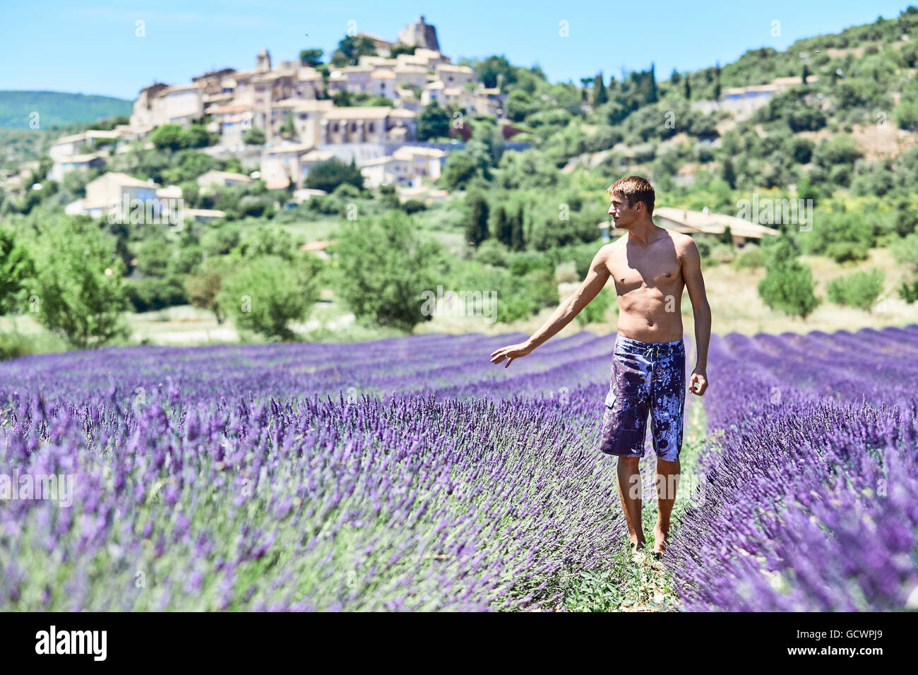 Guy lavender hi-res stock photography and images - Alamy