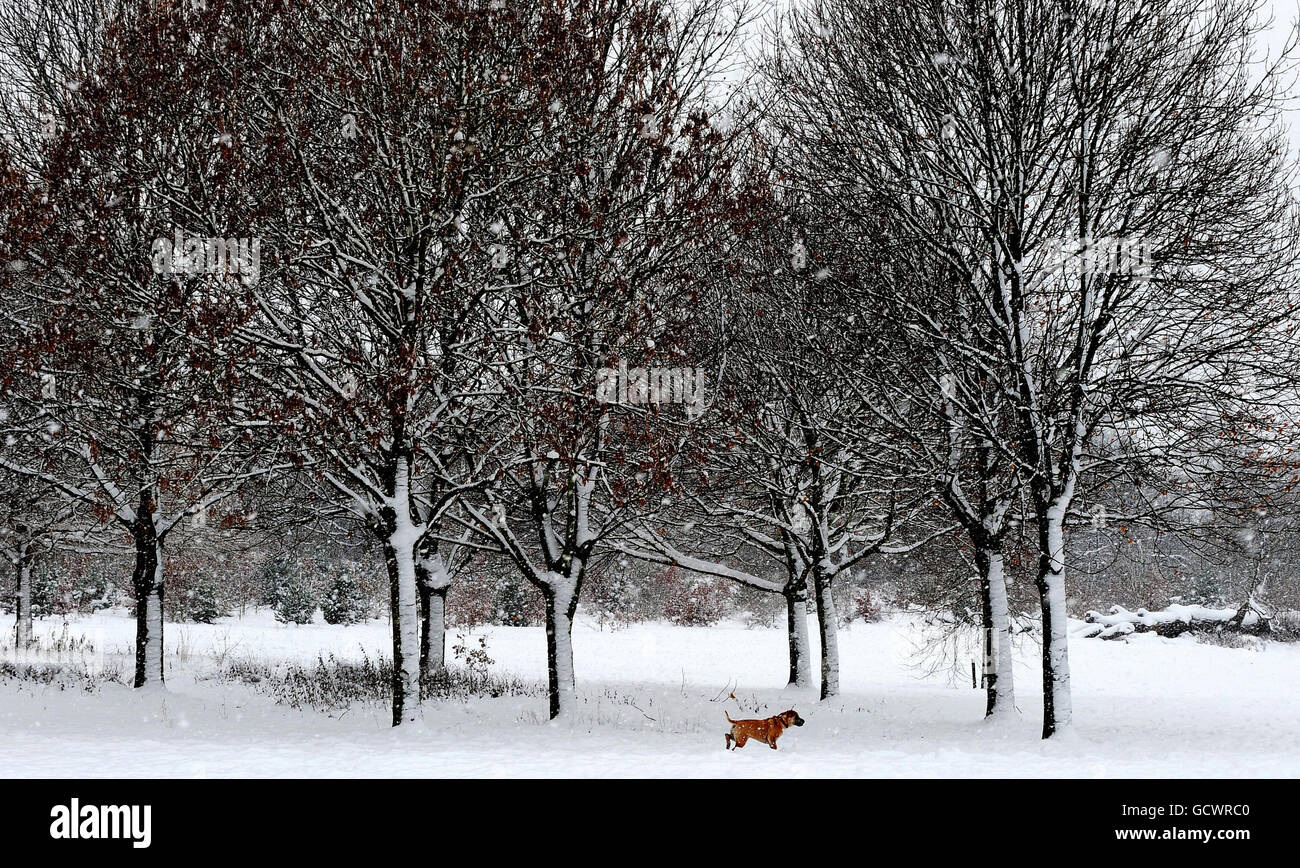 Winter weather Dec 2nd Stock Photo - Alamy