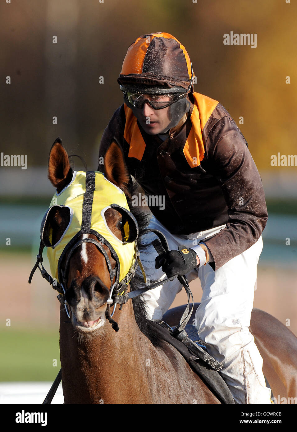 St ignatius and jockey chris catlin hi-res stock photography and images ...