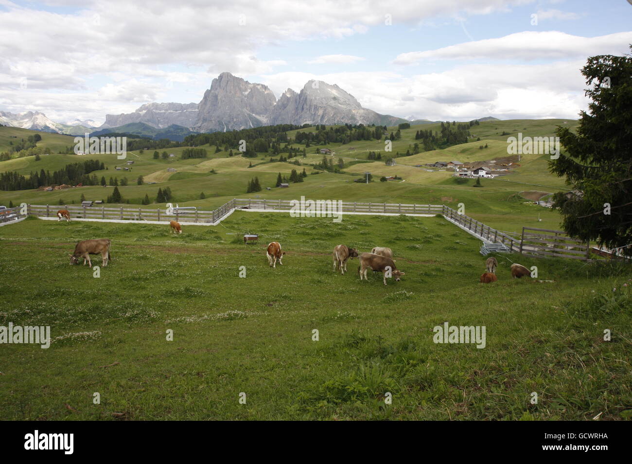 seiser alm panorama Stock Photo - Alamy