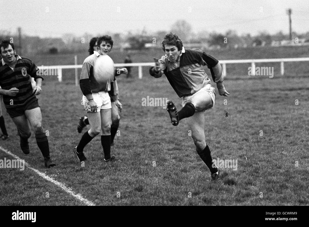 The stoop harlequin Black and White Stock Photos & Images - Alamy