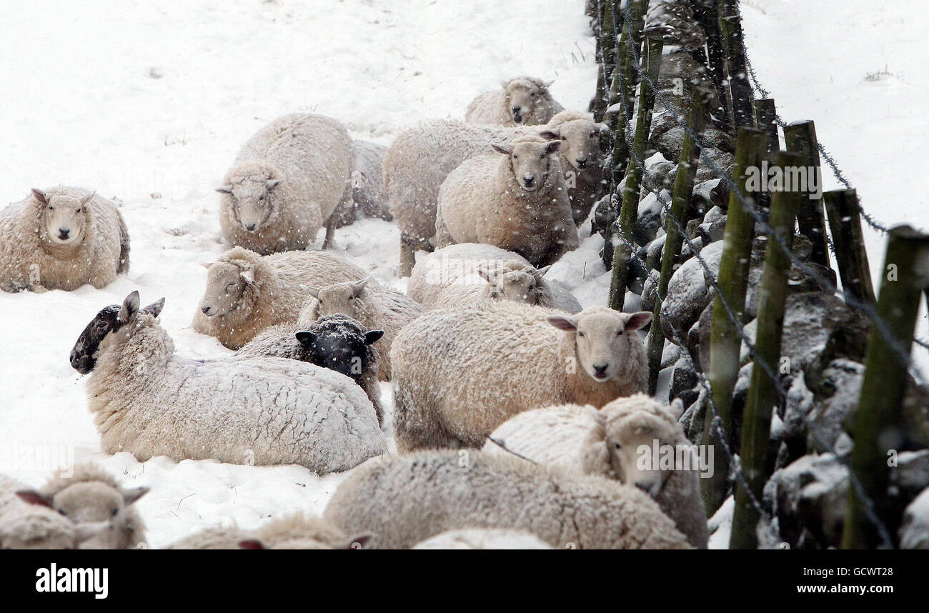 Winter weather Dec 3rd Stock Photo - Alamy