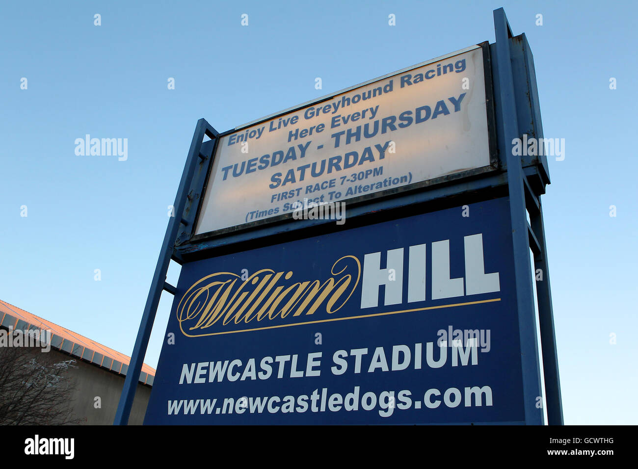 Greyhound racing all england festival finals night newcastle greyhound ...